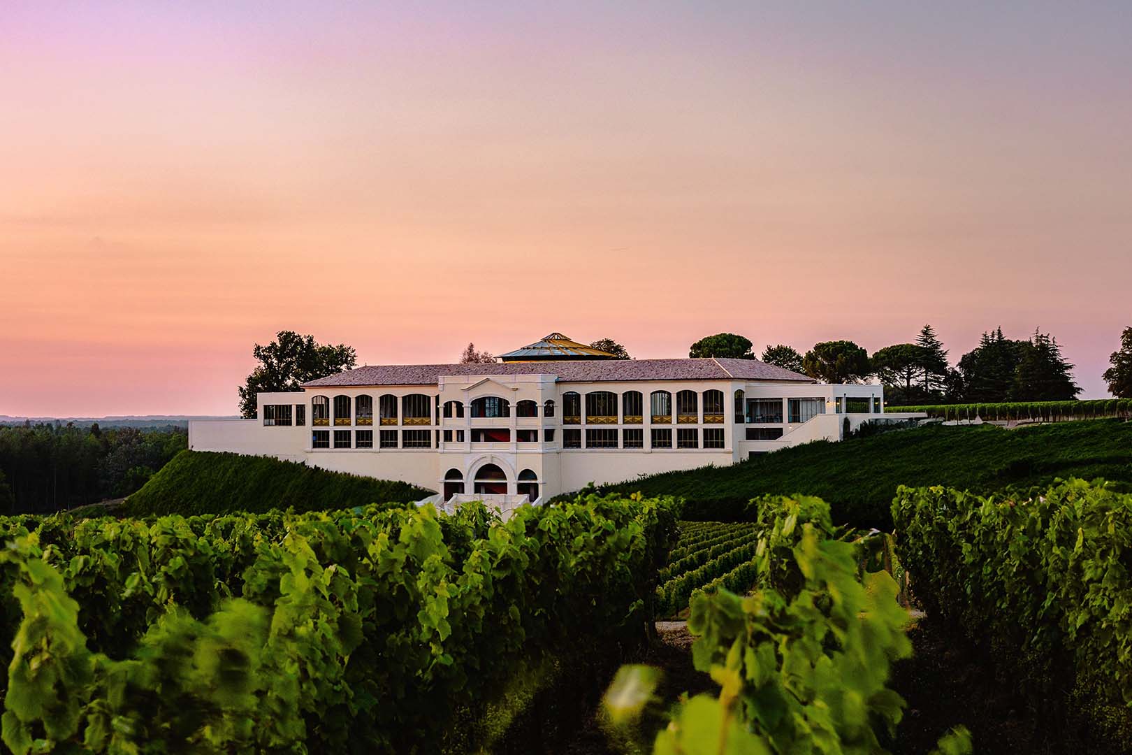 Visite Guidée au Château Plain Point | Visiter Bordeaux