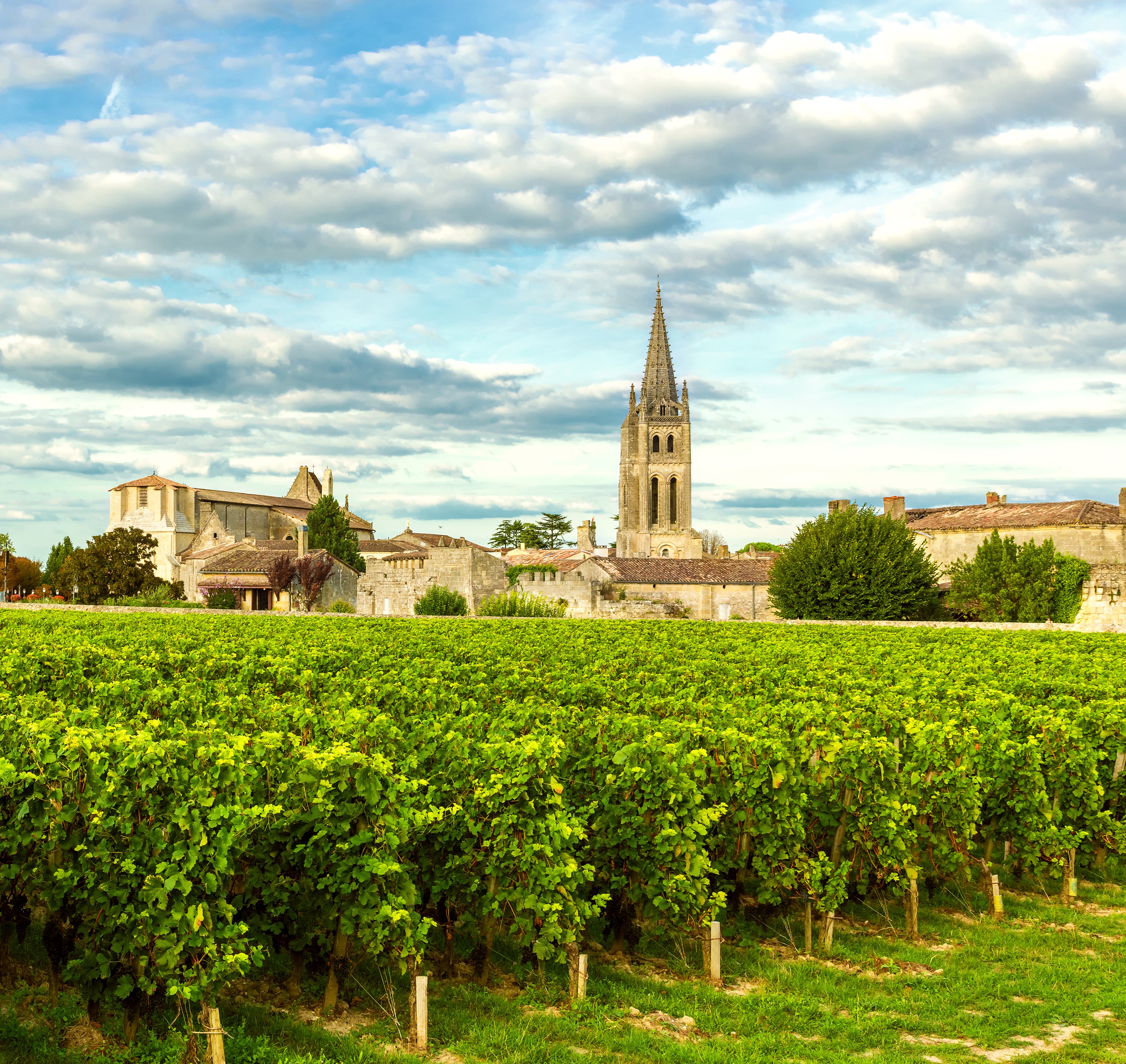 Full-day Saint-Emilion: Village, Undergrounds and Châteaux | Visit Bordeaux